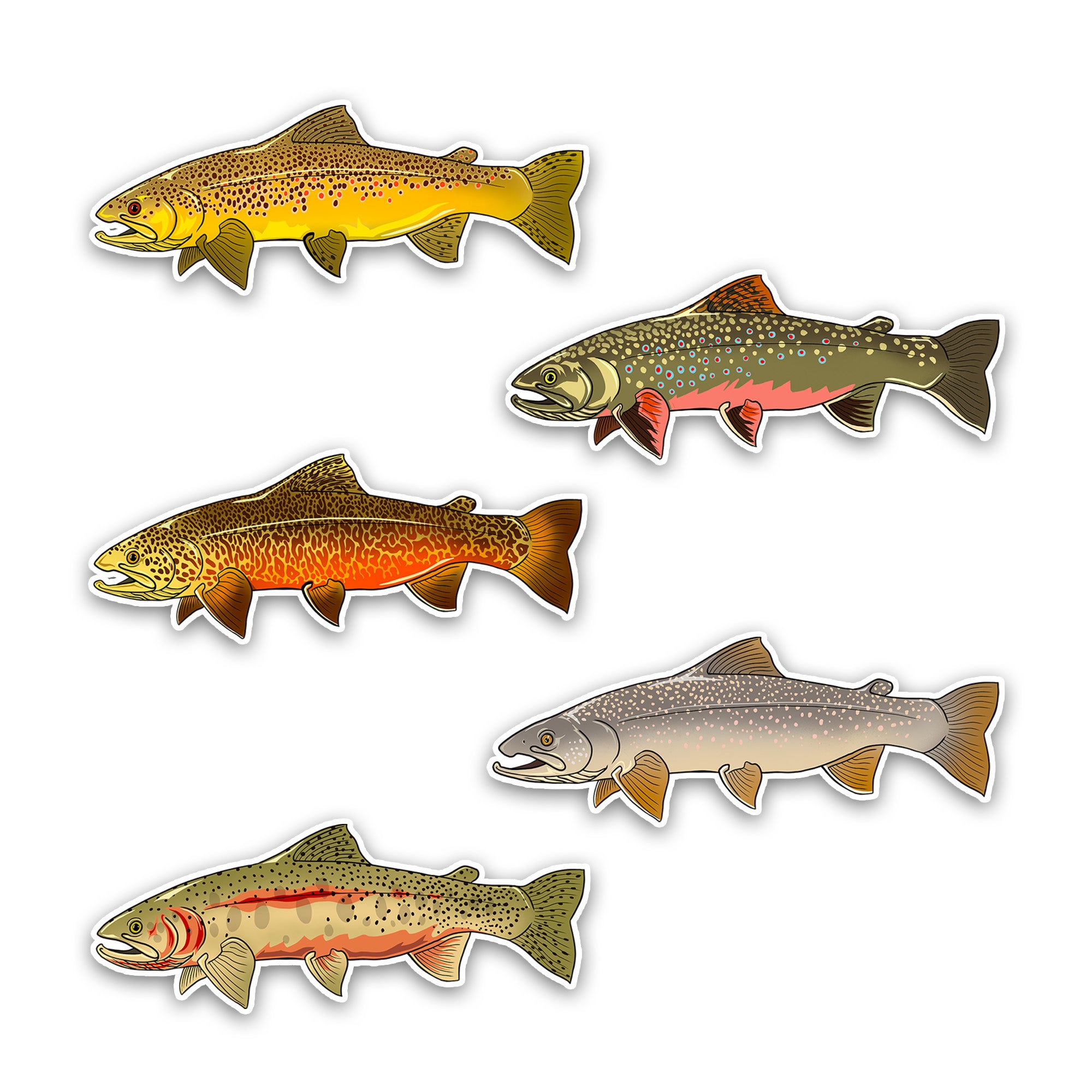 Trout Series - Vinyl Sticker Pack – Jayden Daniels Wild imagery